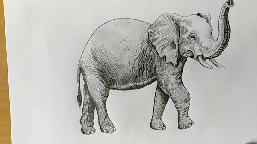 How to Draw a Realistic Elephant (Step-by-Step)