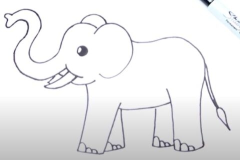 How to Draw an Easy Elephant Step by Step - 7 Different Ways