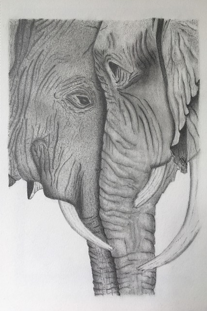 21 Pictures of Elephant Drawings - DrawAnimal.com