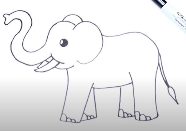 How to Draw an Elephant Step-by-Step (9 Ways)