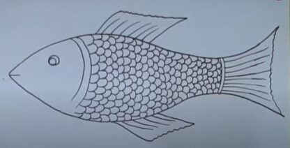 How to Draw an Easy Fish - 5 Ways - DrawAnimal.com