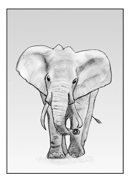 21 Pictures of Elephant Drawings - DrawAnimal.com