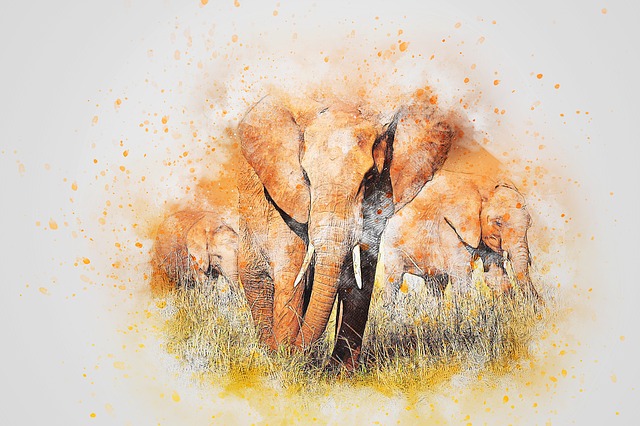 21 Pictures of Elephant Drawings - DrawAnimal.com