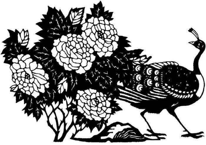 50+ Best Peacock Drawings - Realistic, Easy, Simple & Color